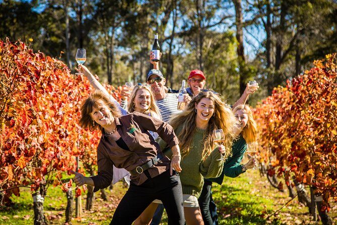 Margaret River Winery, Brewery Tour with Gourmet Lunch. - Key Points