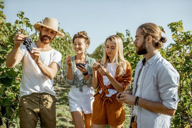 Margaret Rivers Wine & Chocolate Odyssey: Private Tour - The Bottom Line: Is This Tour Worth It?