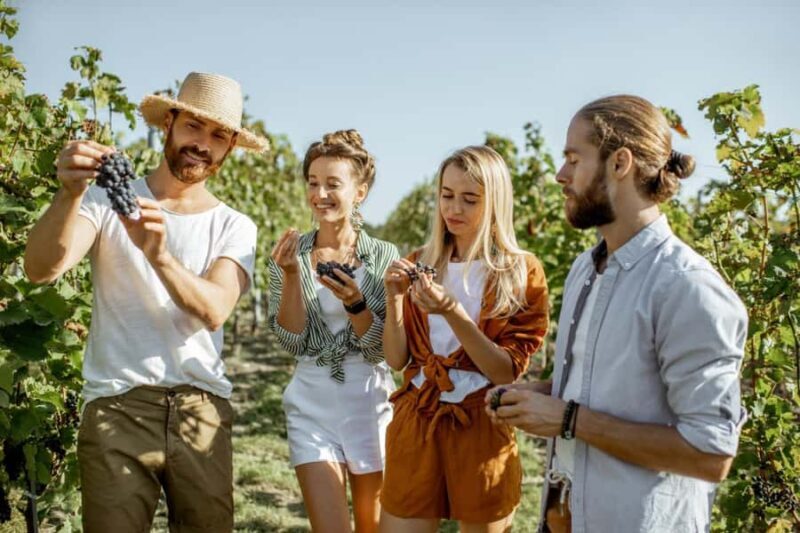 Margaret Rivers Wine & Chocolate Odyssey: Private Tour - Key Points