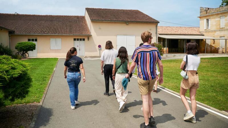 Margaux - Discovery tour of the vineyard with a tasting of 4 wines - An In-Depth Look at the Margaux Discovery Tour