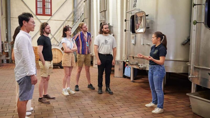 Margaux - Discovery tour of the vineyard with a tasting of 4 wines - The Sum Up