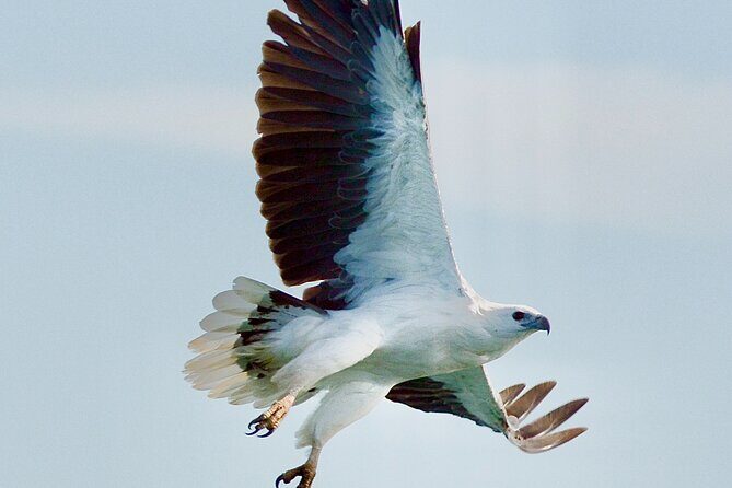 Maria Island 3 hours and 30 mins Scenic Cruise - The Sum Up