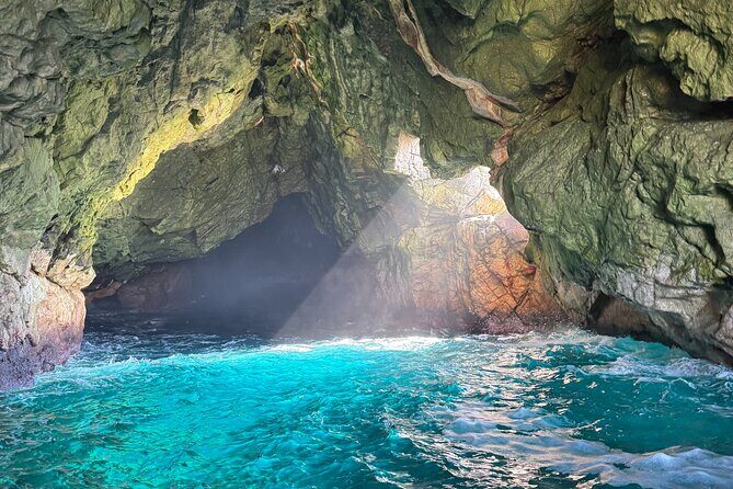 Maria Island 3 hours and 30 mins Scenic Cruise - FAQs