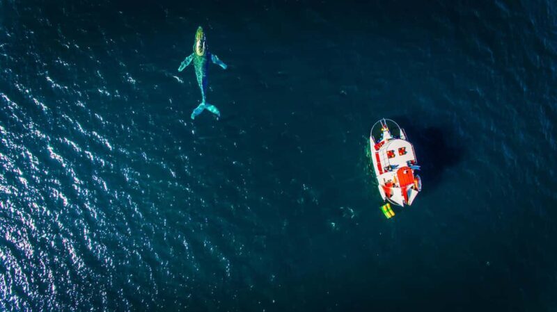 Marietas Islands Boat Tour: Snorkel, Kayak, Playa Nopalera - Key Points