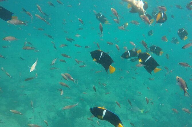 Marietas Islands PRIVATE for 2 px hidden beach 100% GUARANTEED - An In-Depth Look at the Private Marietas Islands Tour