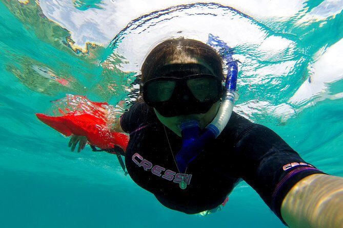 Marietas Islands snorkeling & Hidden beach (w/ restrictions) - An Introduction to the Marietas Islands Snorkeling Tour