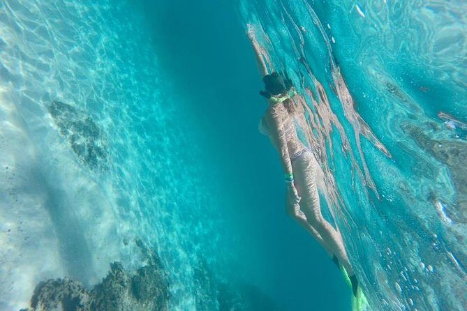 Marietas Islands Snorkeling Tour - The Itinerary: What You Can Expect