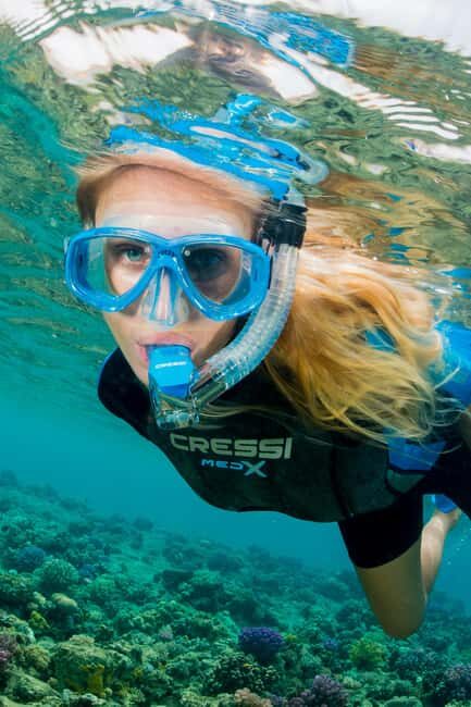 Marina Baie des Anges boat trip to the Pelagos Sanctuary - Practical Tips for a Smooth Day