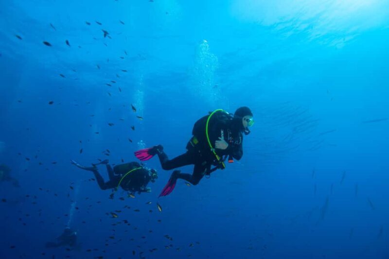 Marina di Campo: Try diving on the island of Elba - Key Points