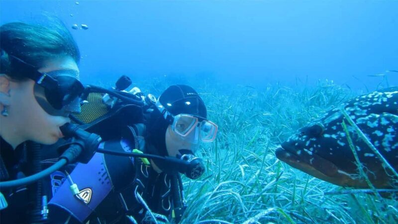 Marina di Campo: Try diving on the island of Elba - Final Thoughts: Is It Worth It?