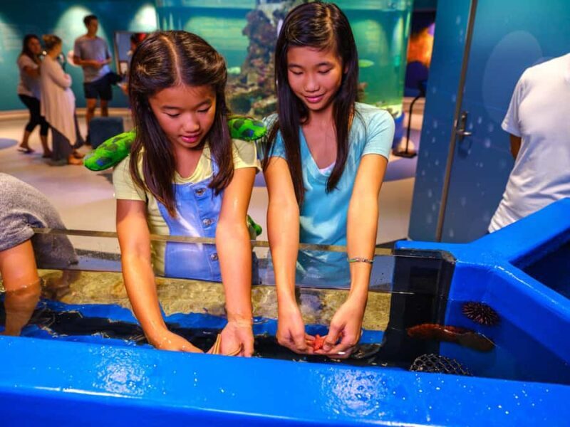 Marine Discovery Centre - Who Is This Tour Best For?