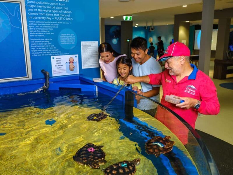 Marine Discovery Centre - FAQ