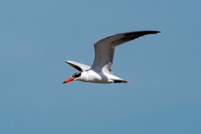 Marine Ecology Tour in La Paz Mexico - What to Expect from the Marine Ecology Tour in La Paz