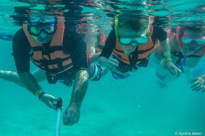 Marine Turtle Snorkeling Private Tour - What to Expect During Your Tour