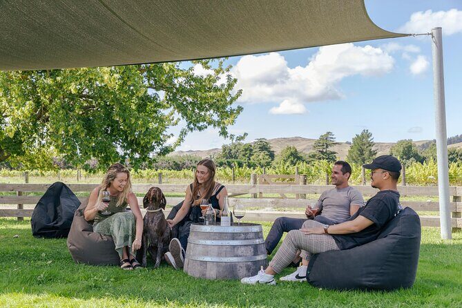 Marlborough Afternoon Wine Tour Taste Local Wines - Verdict: Is It Worth It?