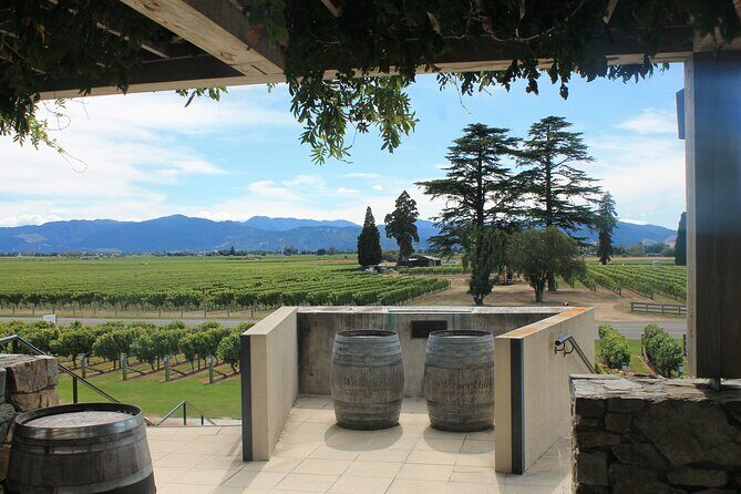 Marlborough Classic Wine Tasting Tour. - Value for Money