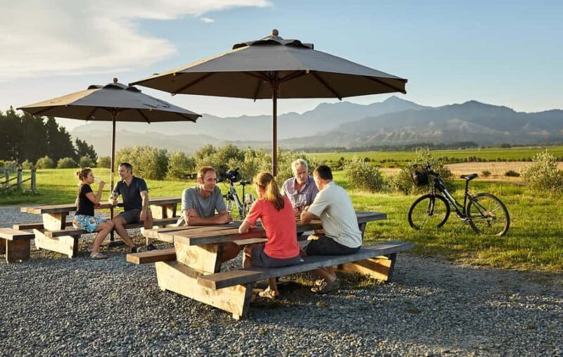 Marlborough: Full-Day Self-Guided Biking Wine Tour - Exploring Marlborough on Two Wheels: What You Can Expect