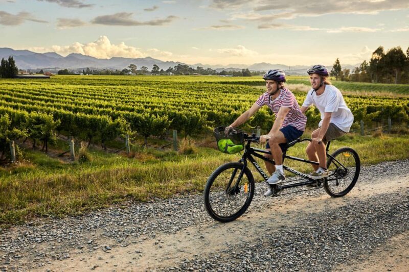 Marlborough: Full-Day Self-Guided Biking Wine Tour - Practical Details