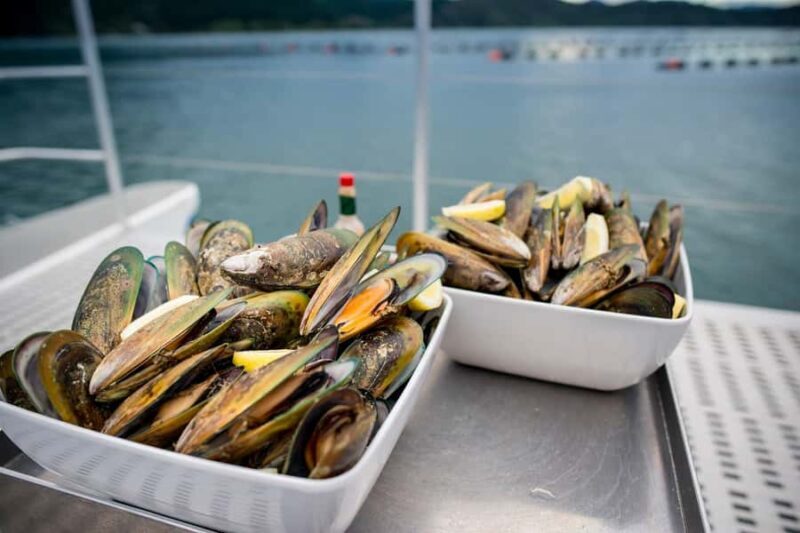 Marlborough: Full-Day Wine and Seafood Tour with Cruise - Introduction: A Perfect Blend of Wine, Scenery, and Seafood