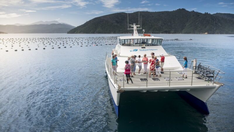 Marlborough: Full-Day Wine and Seafood Tour with Cruise - Transport and Group Size