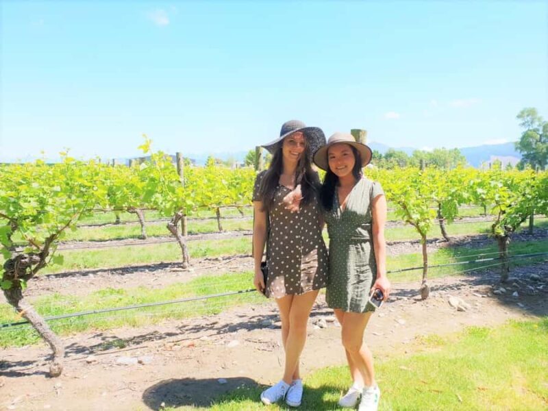 Marlborough: Full Day "Winemaker's Tour" - Key Points