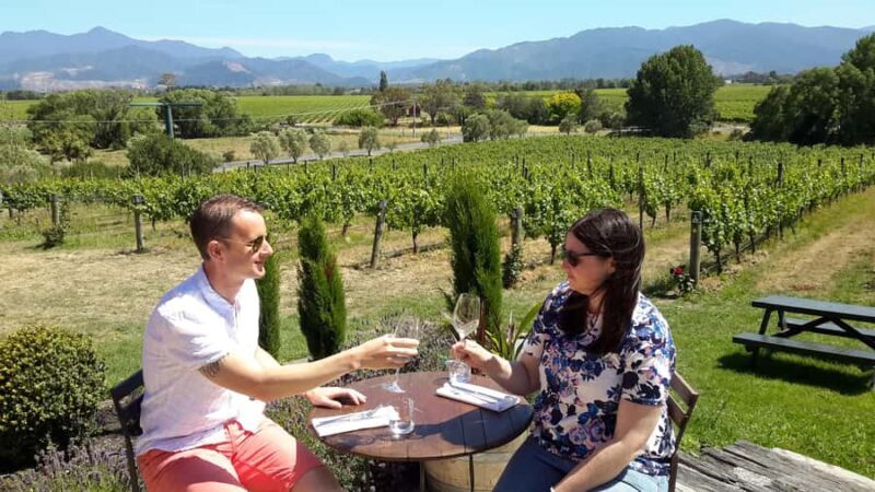 Marlborough Half-Day Wine Tour from Blenheim - Transport and Group Size