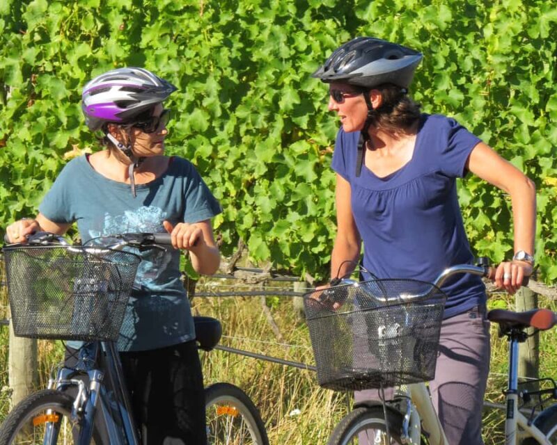 Marlborough: Half Guided and Half Self-Guided Bike Wine Tour - A Closer Look at the Marlborough Bike Wine Tour