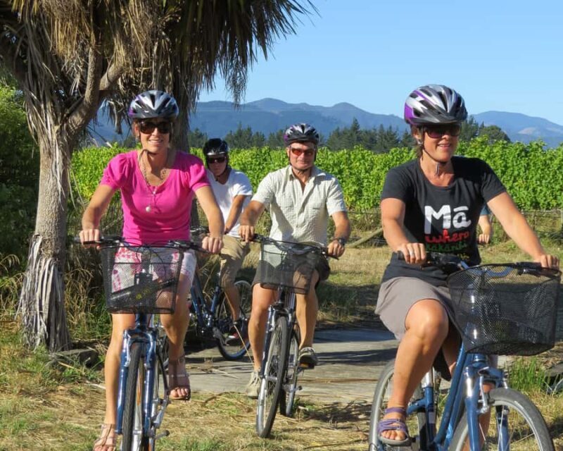 Marlborough: Half Guided and Half Self-Guided Bike Wine Tour - Why This Tour Works for Different Travelers