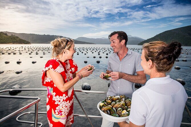 Marlborough Icons Tour - Wine tasting + Cruise - Final Thoughts