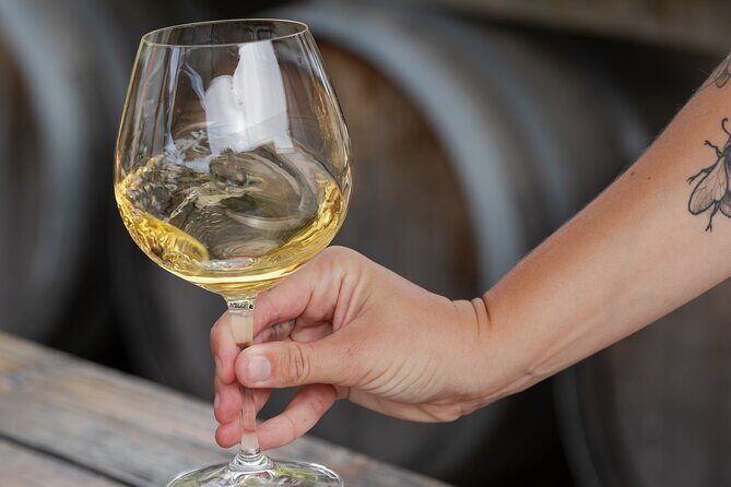 Marlborough Sheep Station Tour with Wine Tasting and Lunch - The Sum Up