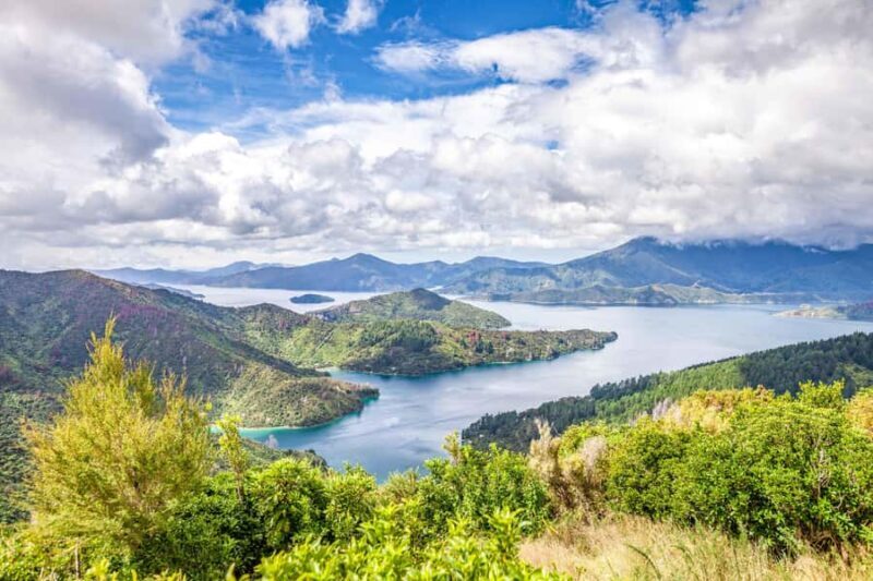 Marlborough Sounds and Ship Cove Cruise from Picton - Who Will Love This Tour?