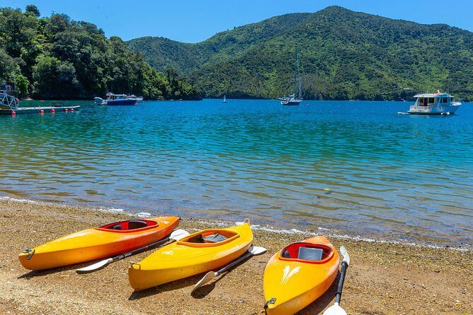 Marlborough Sounds Day Visit to Lochmara - Practical Tips for Your Day Trip