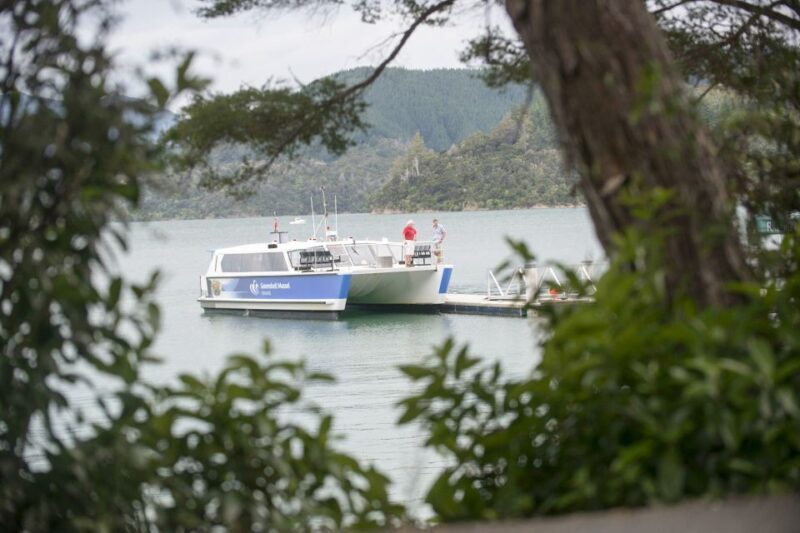Marlborough Sounds: Greenshell Mussel Cruise - What Reviewers Love Most