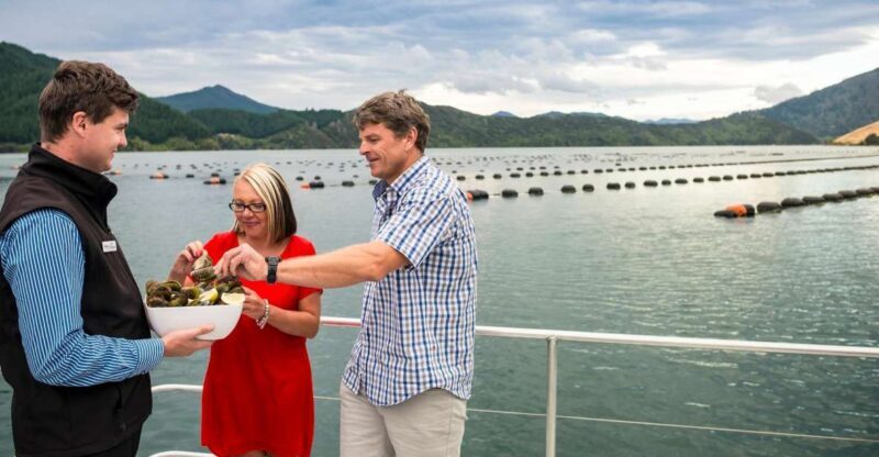 Marlborough Sounds: Greenshell Mussel Cruise - Summary & Who Will Love This Tour