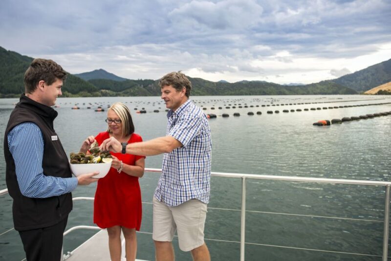 Marlborough Sounds: Greenshell Mussel Cruise - Frequently Asked Questions