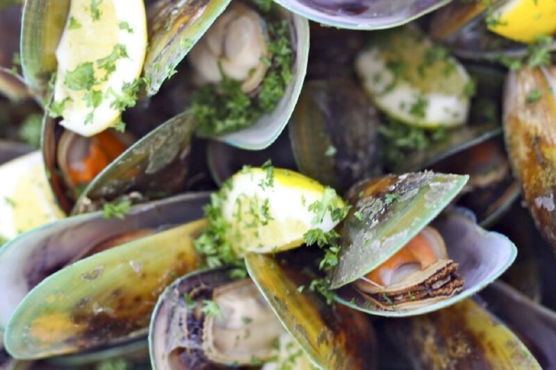 Marlborough Sounds: Greenshell Mussel Cruise - Final Thoughts