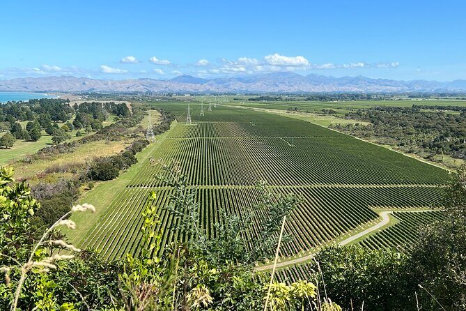Marlborough Wine Region Tour from the Port of Picton - The Experience: Comfort, Timing, and Value