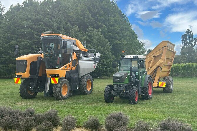 Marlborough Wine Region Tour from the Port of Picton - FAQ