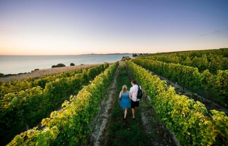 Marlborough Wine Tour: Including Cloudy Bay and Lunch - Key Points