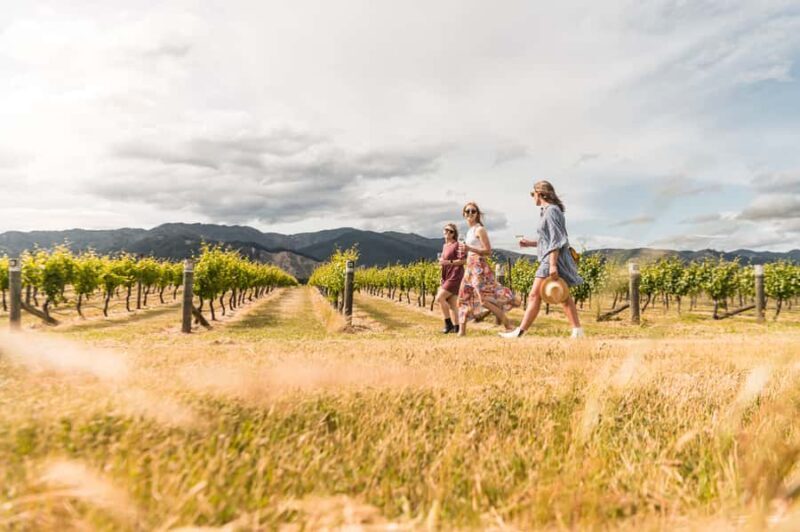 Marlborough: Wineries Visit and Tasting Session - An Introduction to Marlborough’s Finest Wineries