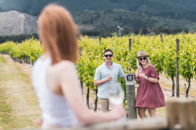 Marlborough: Wineries Visit with Tastings and 2-Course Lunch - Transportation, Group Size, and Practical Details