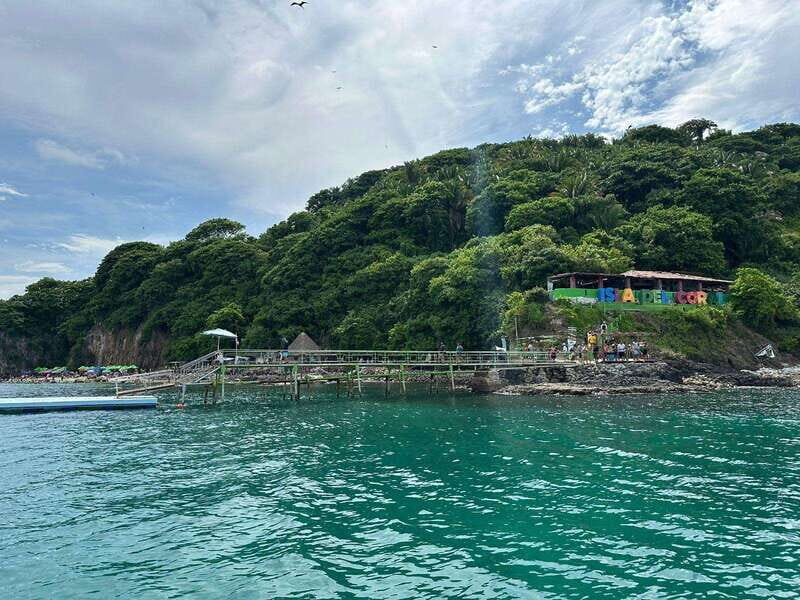 Marlin fishing in guayabitos - FAQs