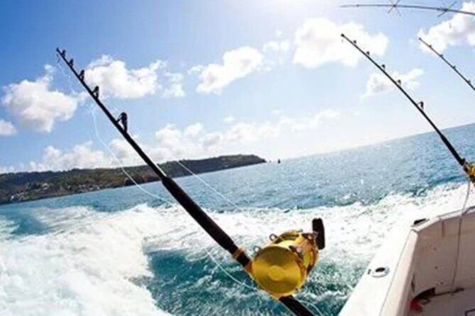 Marmaris Fishing Tour With Rods & Baits Included - The Practical Side: Logistics and Value