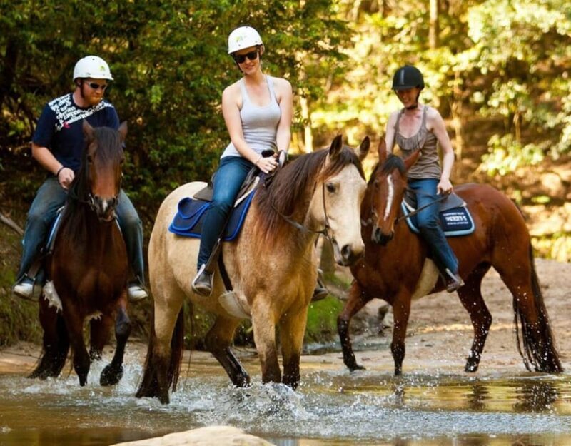 Marmaris: Horse Riding Experience with Hotel Transfers - Who Should Consider This Tour?