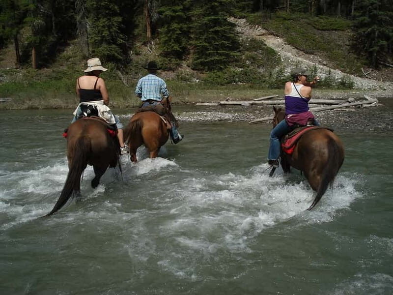 Marmaris: Horse Riding & Safari with Hotel Transfer - Key Points