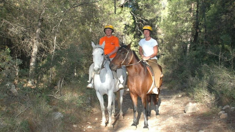 Marmaris: Horse Riding & Safari with Hotel Transfer - What to Expect on the Marmaris Horse Riding & Safari Tour