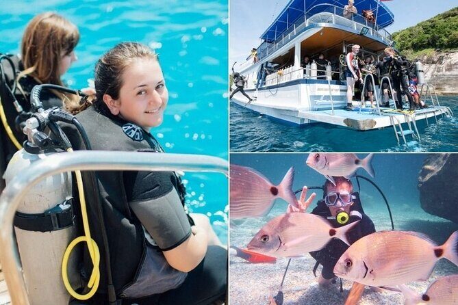 Marmaris / Icmeler : Scuba Diving with Lunch and Transfer - Key Points  