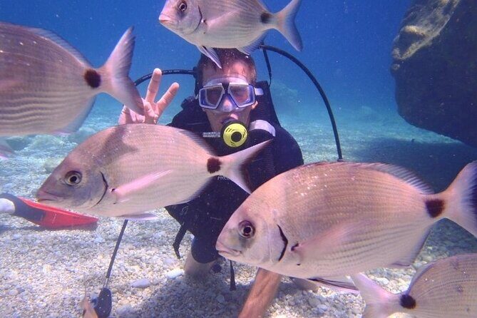 Marmaris / Icmeler : Scuba Diving with Lunch and Transfer - The Sum Up