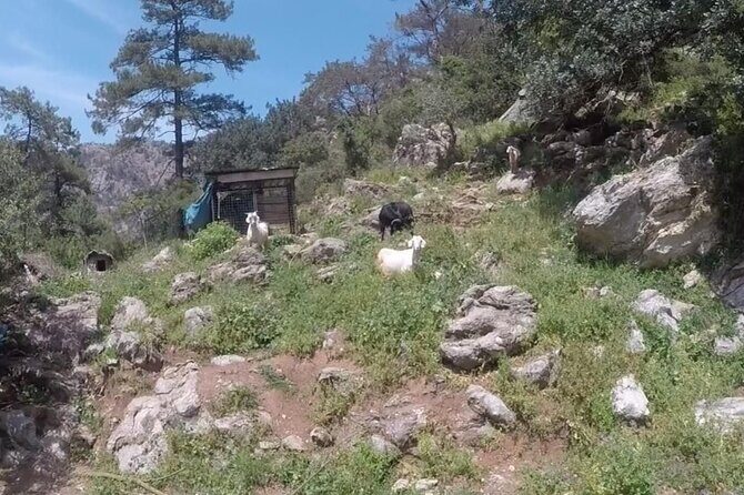 Marmaris Jeep Safari, Waterfall, Jesus Beach and Water fight - FAQs