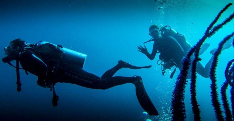 Marmaris: Scuba Diving Experience with 2 Dives and Lunch - Exploring the Marmaris Scuba Diving Experience: An Honest Review